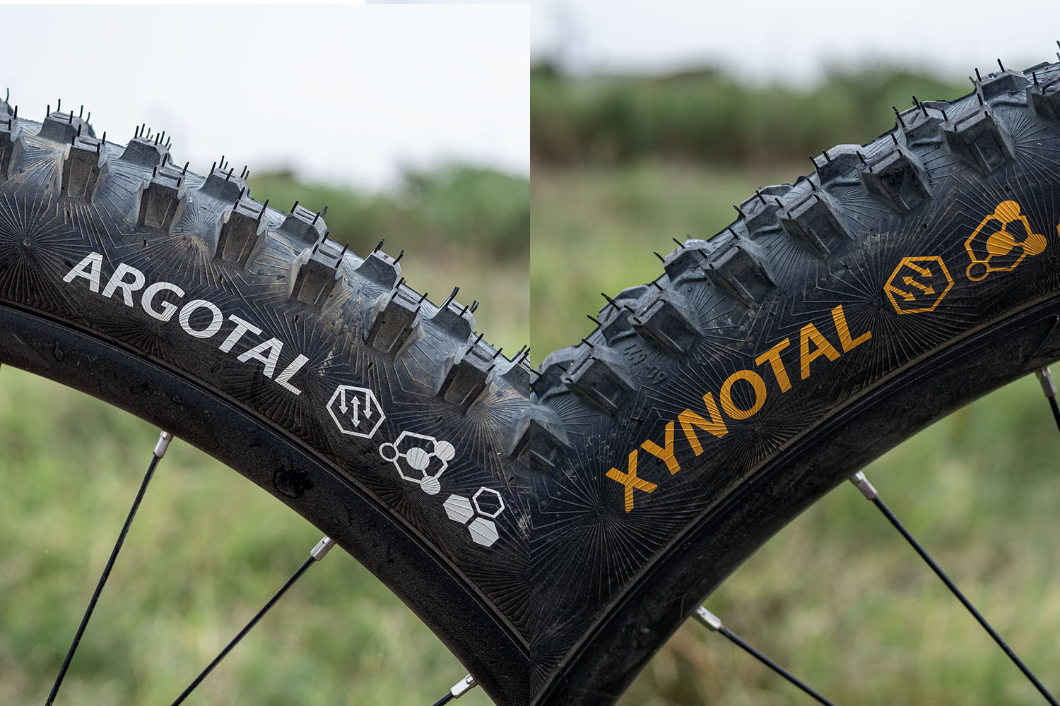 Continental Argotal e Xynotal Enduro Soft in test - 4ActionSport