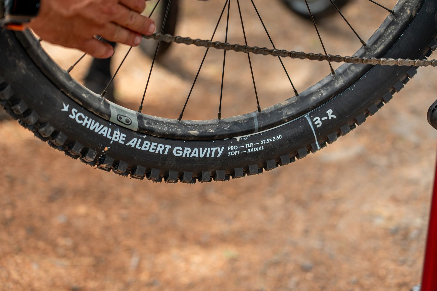 Schwalbe Albert Pro, pneumatico a tutto tondo con carcassa radiale ...