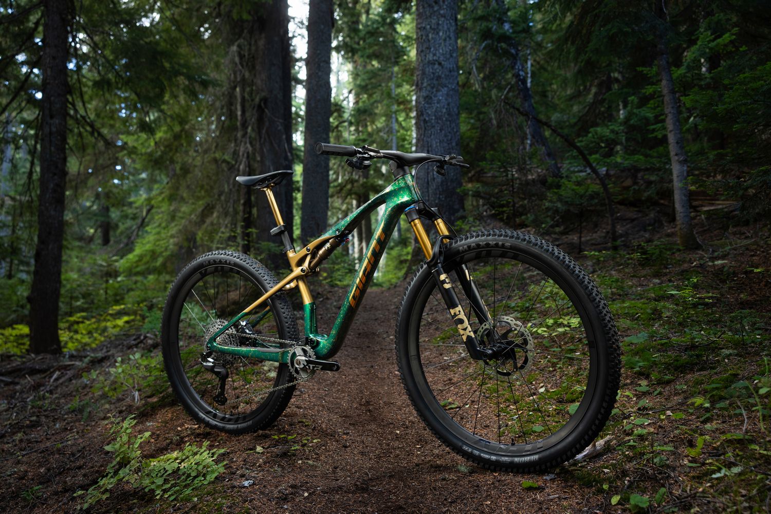Giant Anthem Advanced SL: leggerezza da gara e 120 mm di travel ...